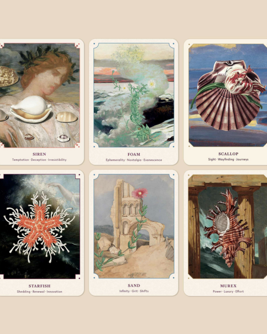 The Seashell Oracle – Poppy California Shop